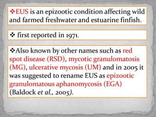 Epizootic Ulcerative Syndrome | PDF