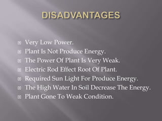 GENERATE ELECTRICITY FROM PLANTS | PPT
