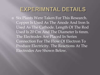 GENERATE ELECTRICITY FROM PLANTS | PPT