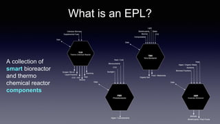 EPL Development Plan.pptx
