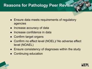 EPL, Inc - Pathology Peer Review | PDF | Educational Assessment | Education
