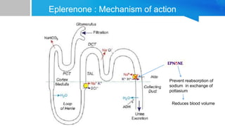Epnone in ccf | PPTX