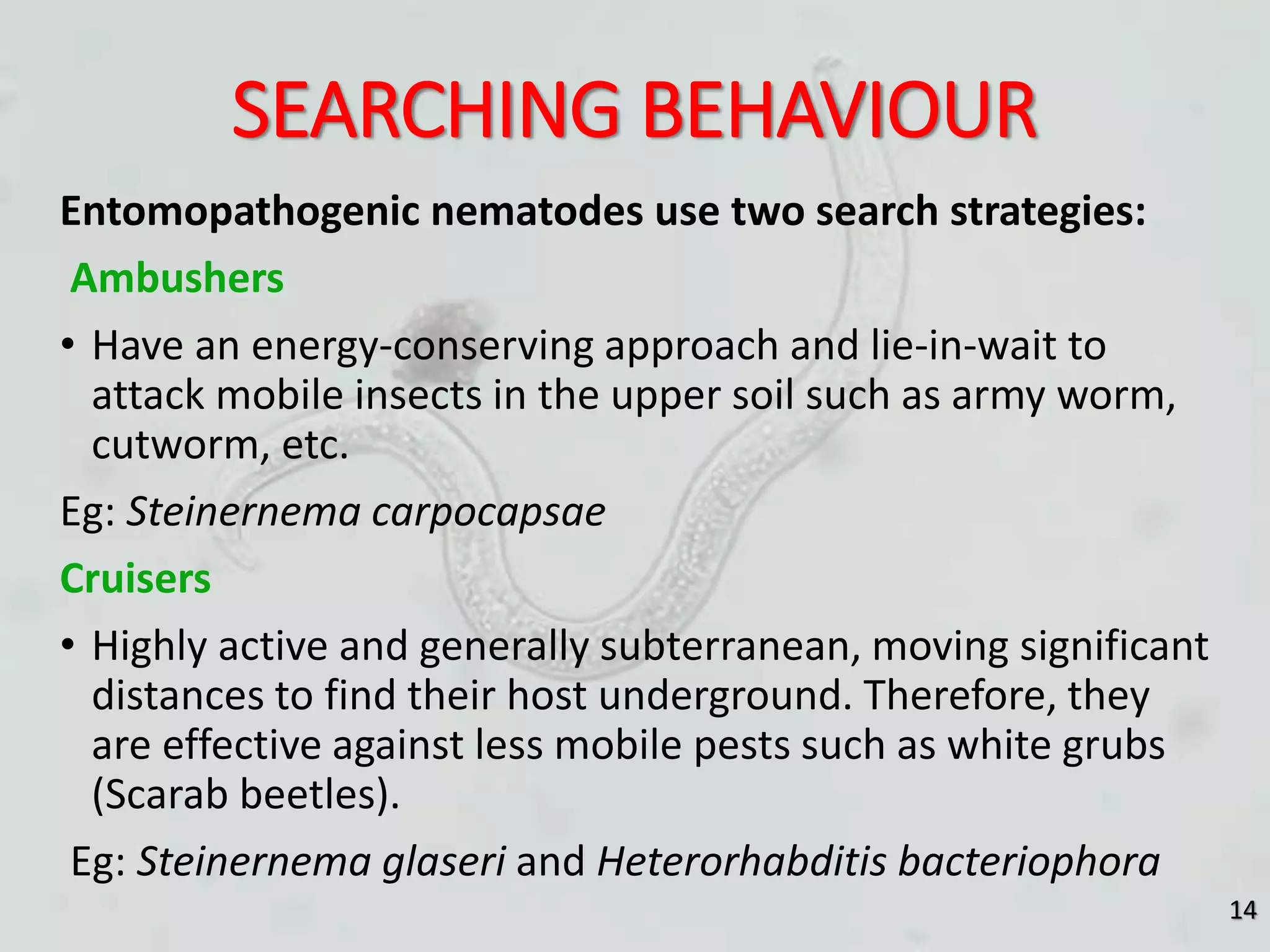 ENTOMOPATHOGENIC NEMATODES | PPTX