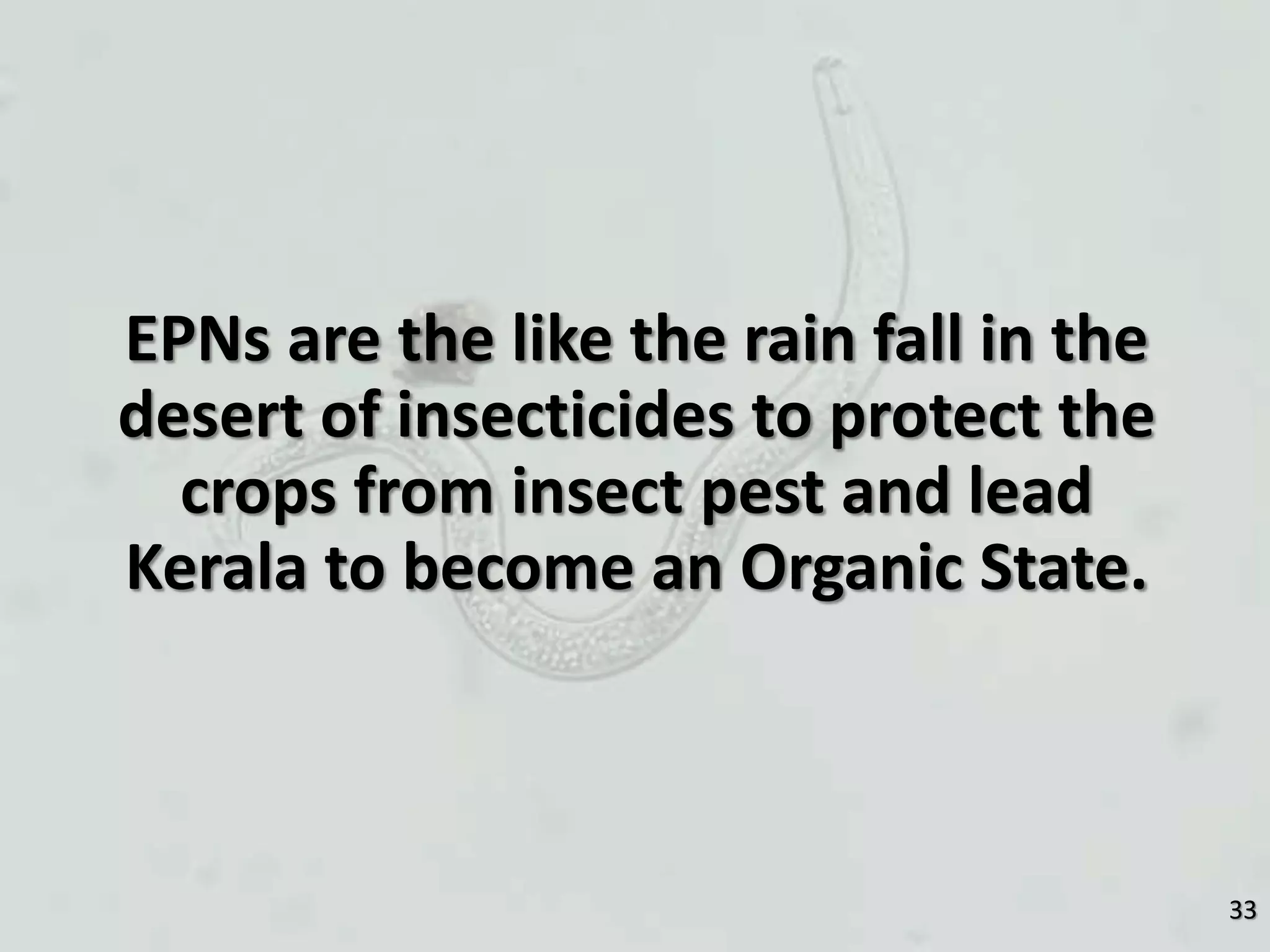 ENTOMOPATHOGENIC NEMATODES | PPTX
