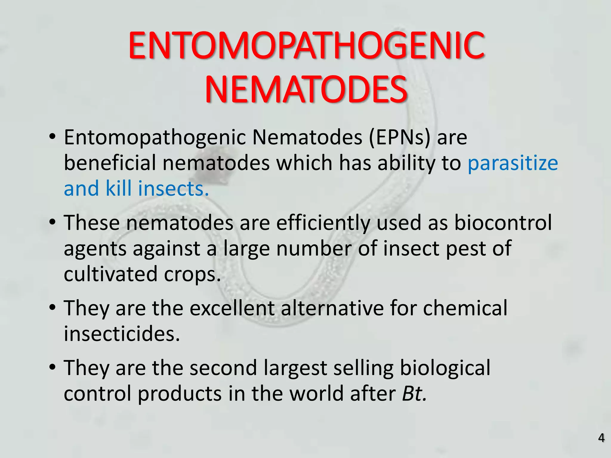 ENTOMOPATHOGENIC NEMATODES | PPTX