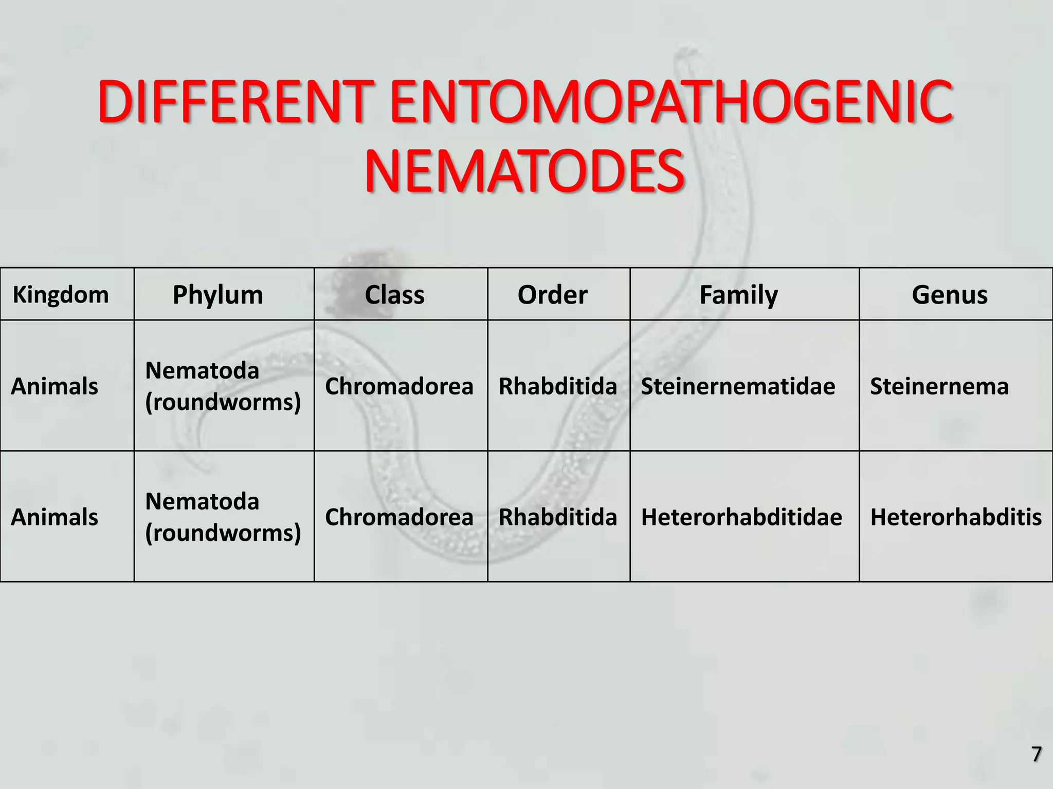 ENTOMOPATHOGENIC NEMATODES | PPTX