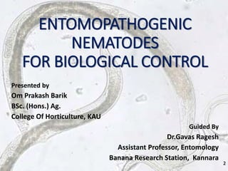 ENTOMOPATHOGENIC NEMATODES | PPTX