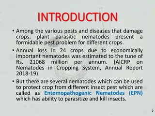ENTOMOPATHOGENIC NEMATODES | PPTX