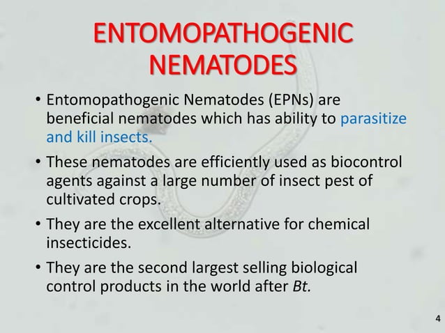 ENTOMOPATHOGENIC NEMATODES | PPT