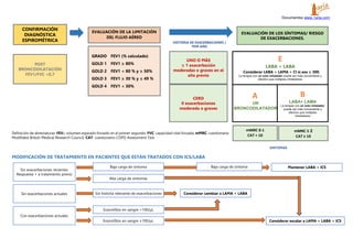 Guía Completa para el Diagnóstico y Manejo Básico de la EPOC según GOLD ...