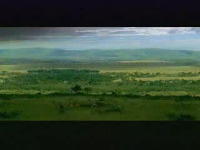 TAVI: transcatheter valve implant | PPT