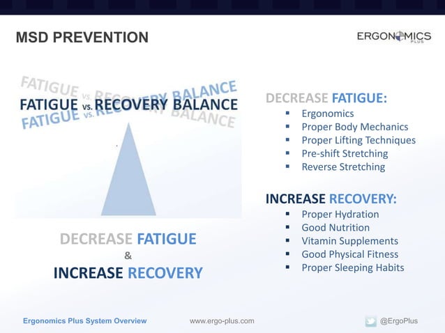 MSD Prevention Process Overview | PPTX | Physical Therapy | Wellness