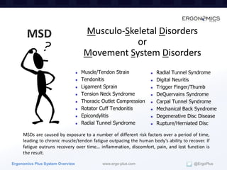 MSD Prevention Process Overview | PPTX | Physical Therapy | Wellness