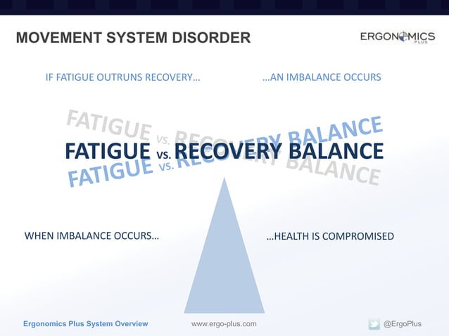 MSD Prevention Process Overview | PPTX | Physical Therapy | Wellness