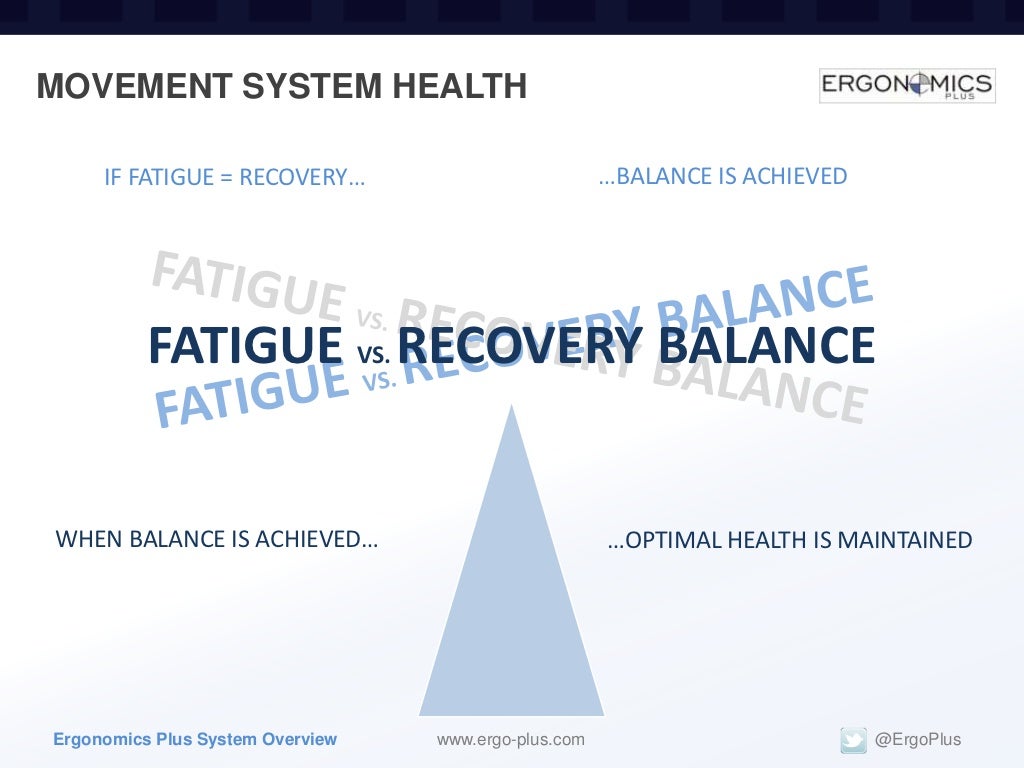 Msd Prevention Process Overview