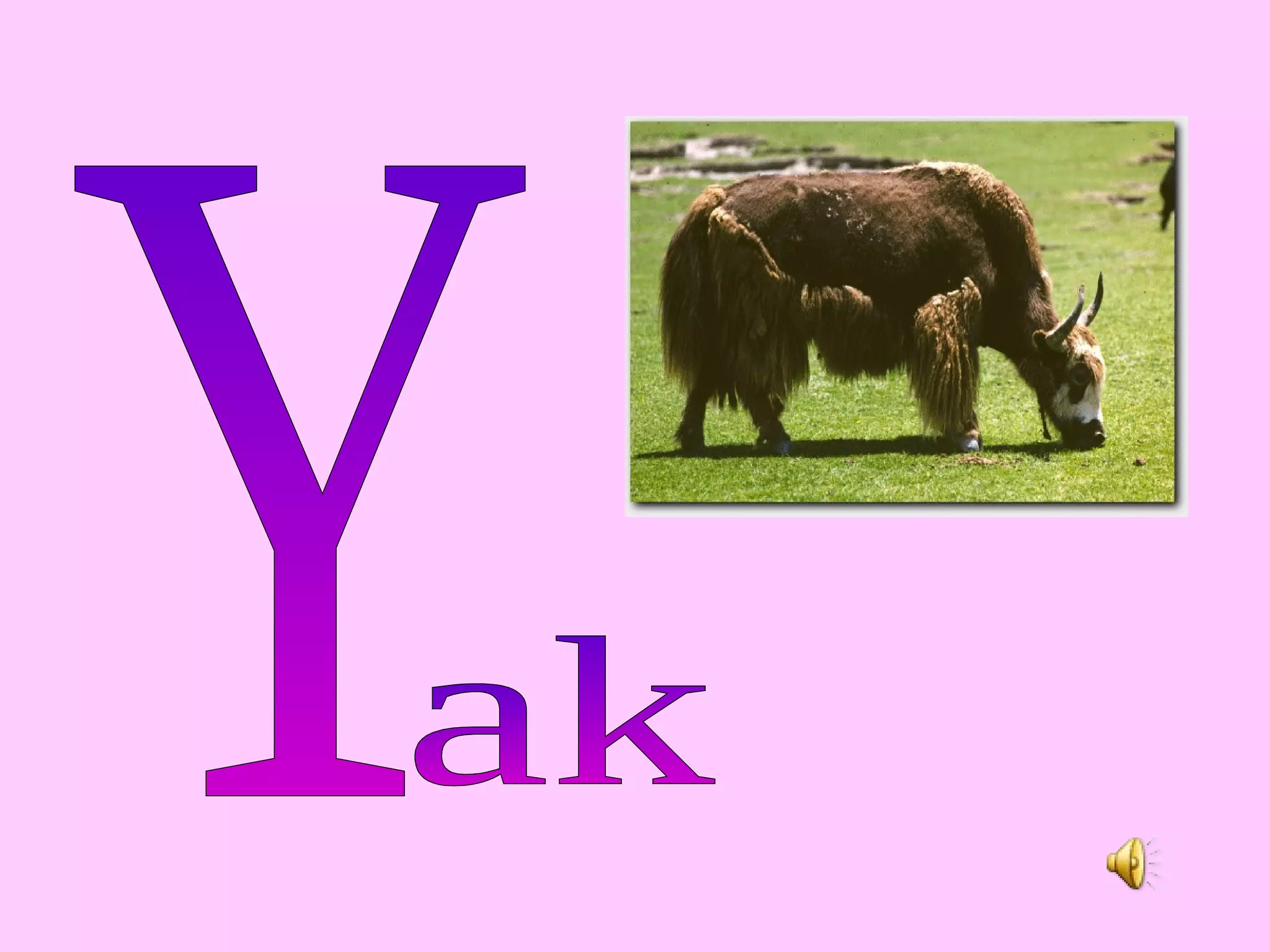 The ENGLISH ALPHABET for children | PPT