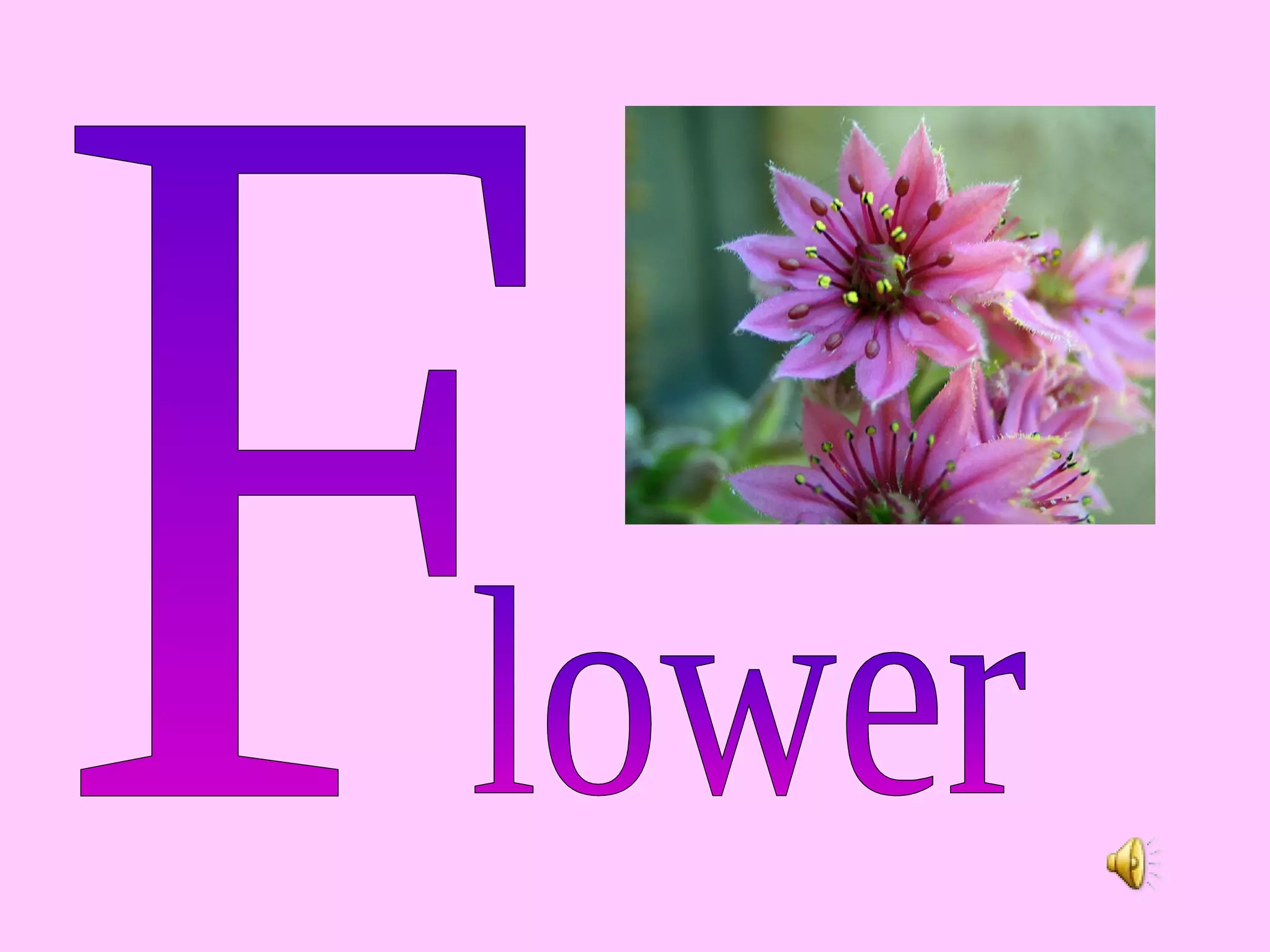 The ENGLISH ALPHABET for children | PPT