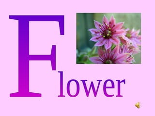The ENGLISH ALPHABET for children | PPT