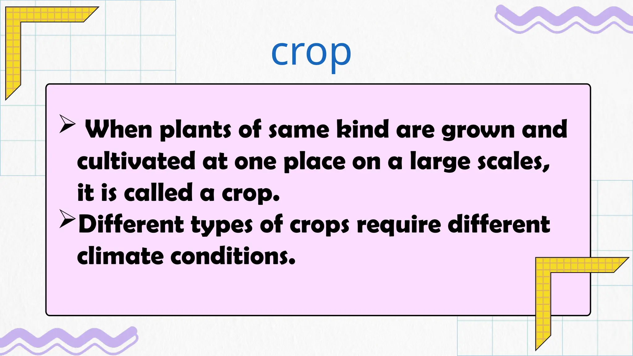 EPP Report about Agriculture of Crop production | PPTX