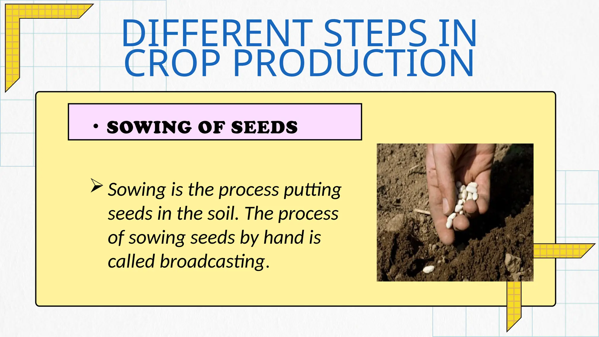 EPP Report about Agriculture of Crop production | PPTX