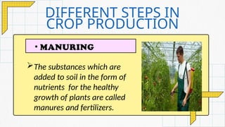 EPP Report about Agriculture of Crop production | PPT