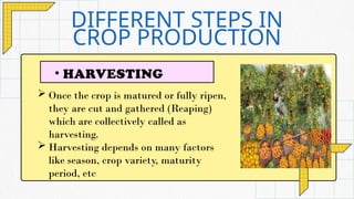EPP Report about Agriculture of Crop production | PPT