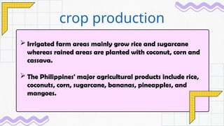 EPP Report about Agriculture of Crop production | PPT