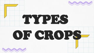 EPP Report about Agriculture of Crop production | PPTX