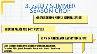 EPP Report about Agriculture of Crop production | PPT