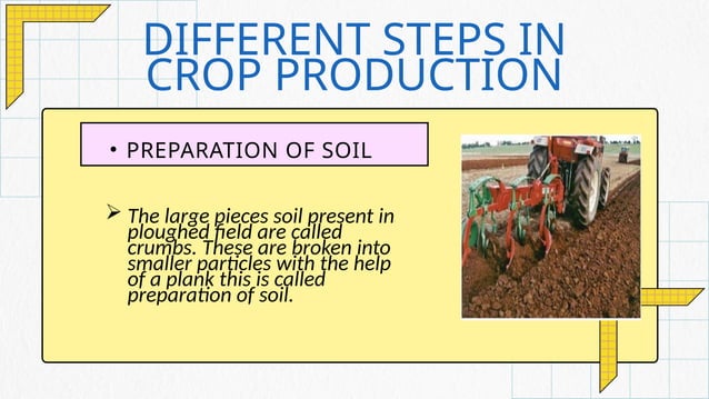 EPP Report about Agriculture of Crop production | PPT