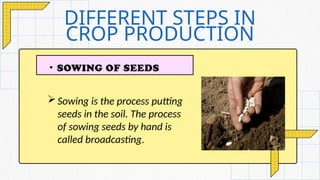 EPP Report about Agriculture of Crop production | PPT