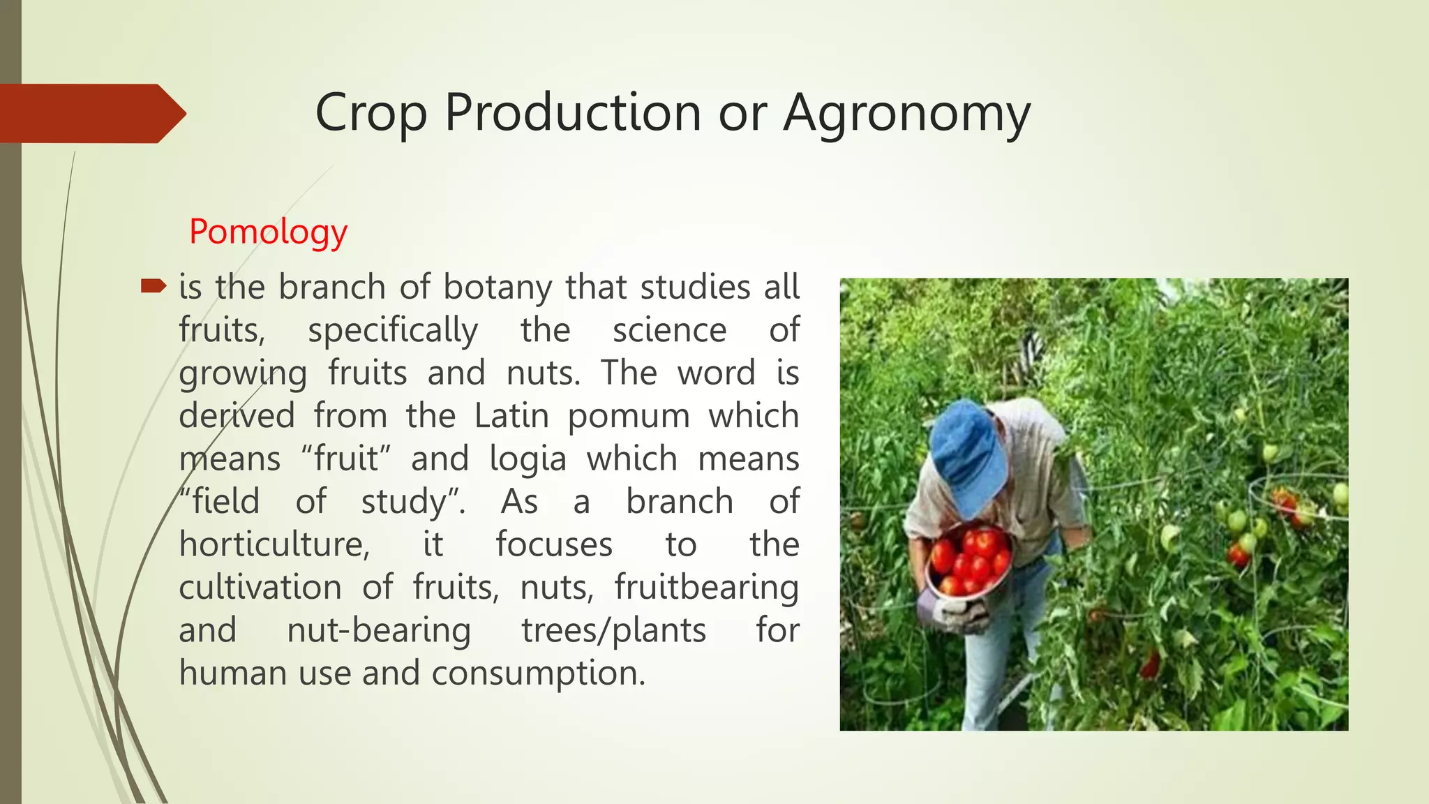 EPP-AGRI (1).pptx