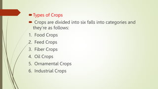 EPP-AGRI (1).pptx