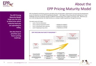 Global Pricing Maturity Survey | PDF