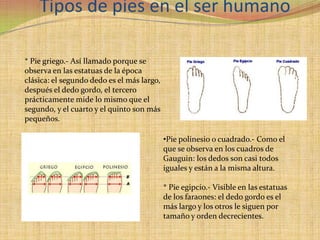 Epp tipos de botas de seguridad | PPTX