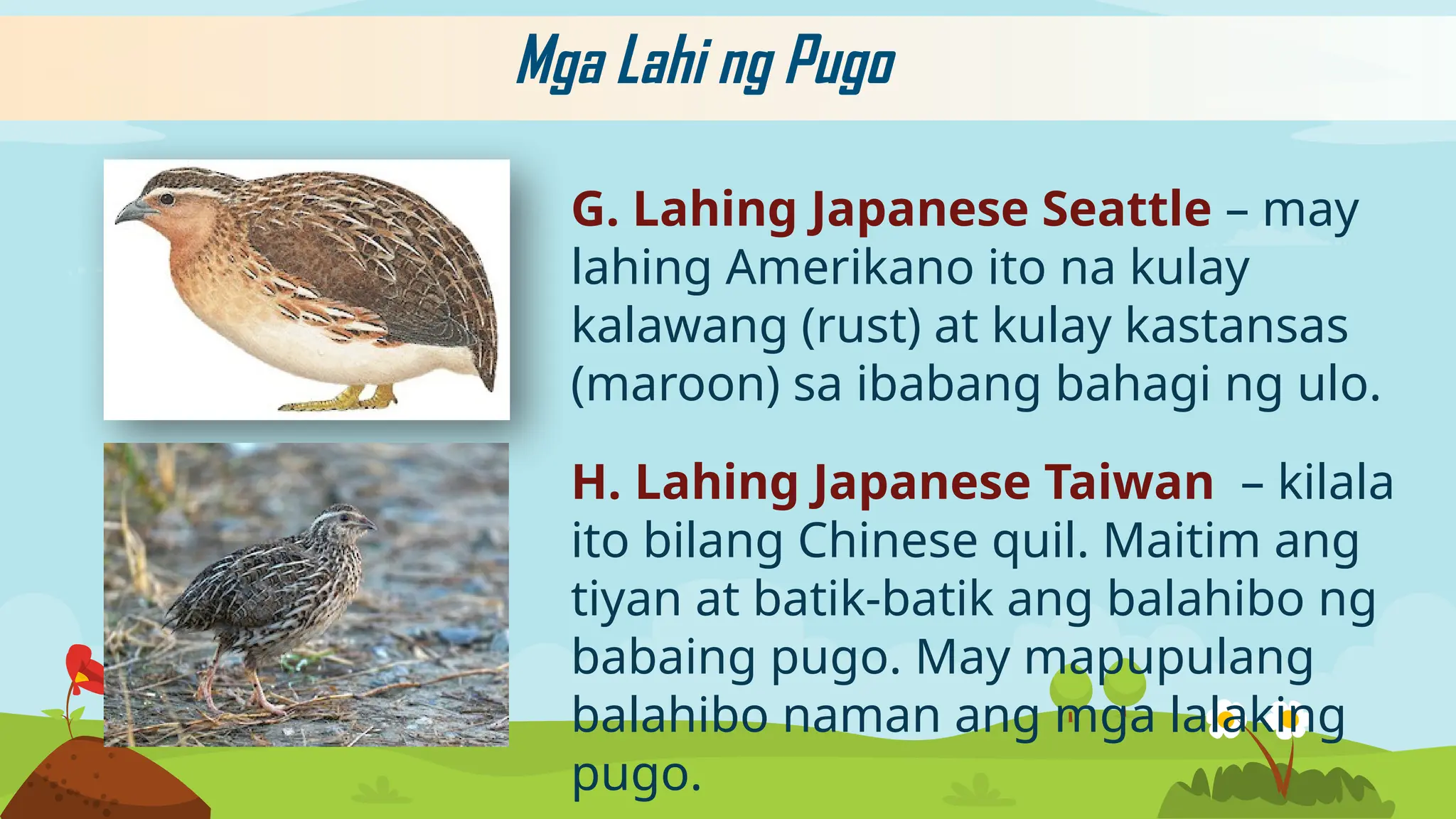 EPP-WEEK-4-DAY-4-Uri-ng-Manok-at-Pugo.pptx