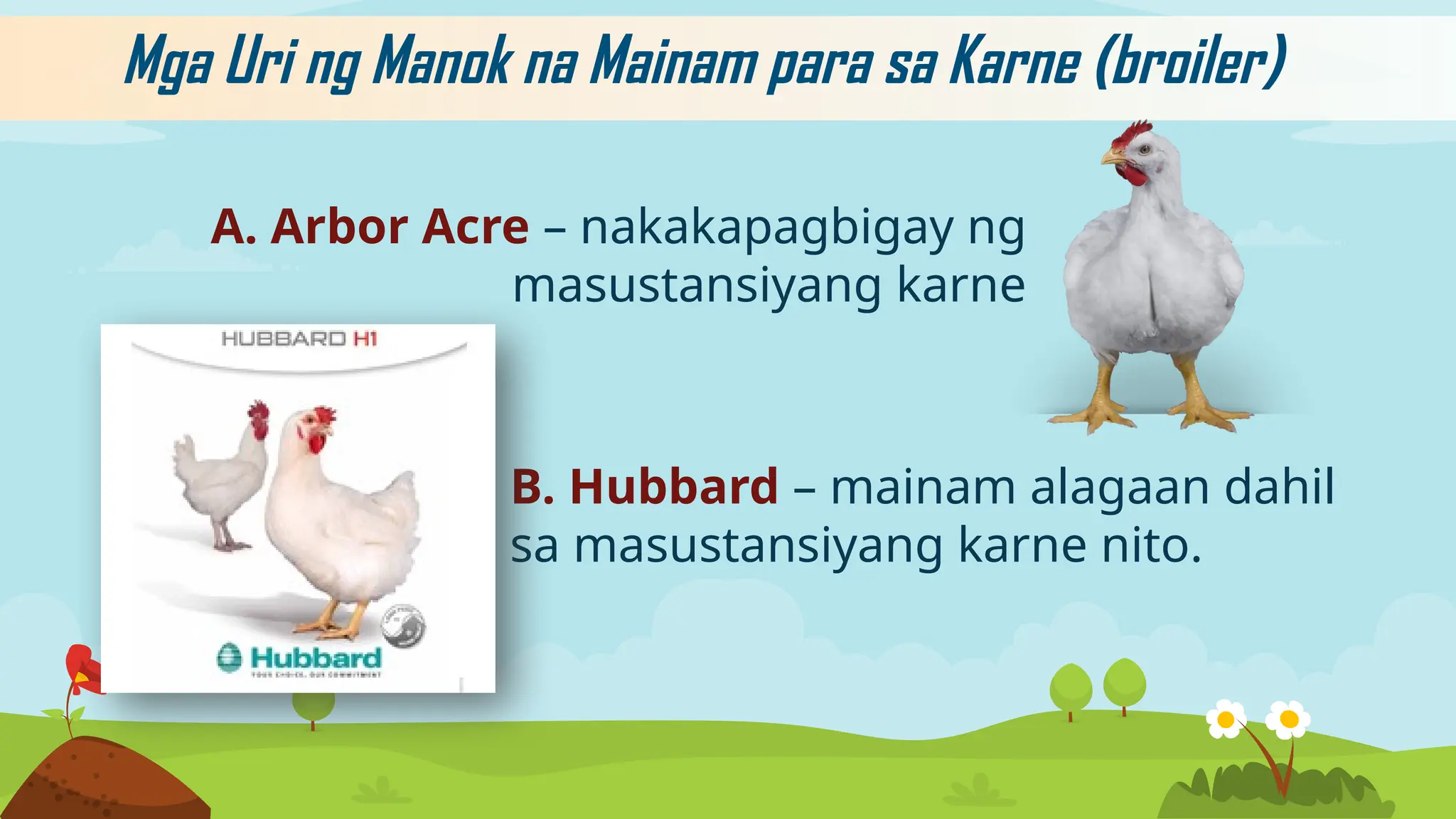 EPP-WEEK-4-DAY-4-Uri-ng-Manok-at-Pugo.pptx