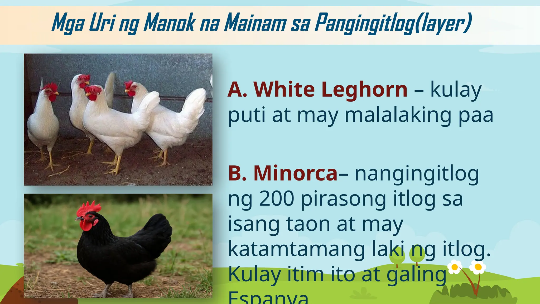 EPP-WEEK-4-DAY-4-Uri-ng-Manok-at-Pugo.pptx
