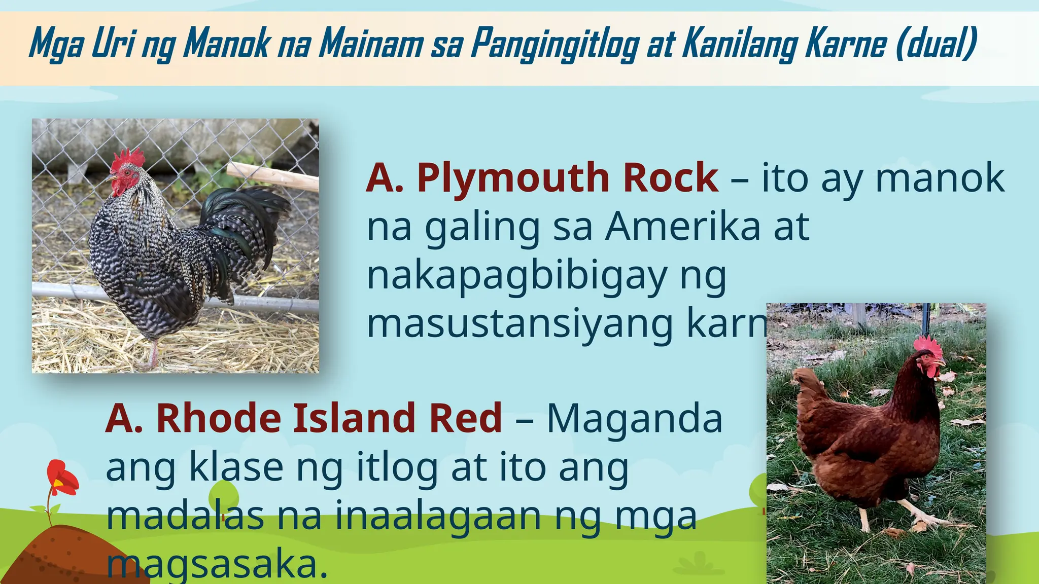 EPP-WEEK-4-DAY-4-Uri-ng-Manok-at-Pugo.pptx