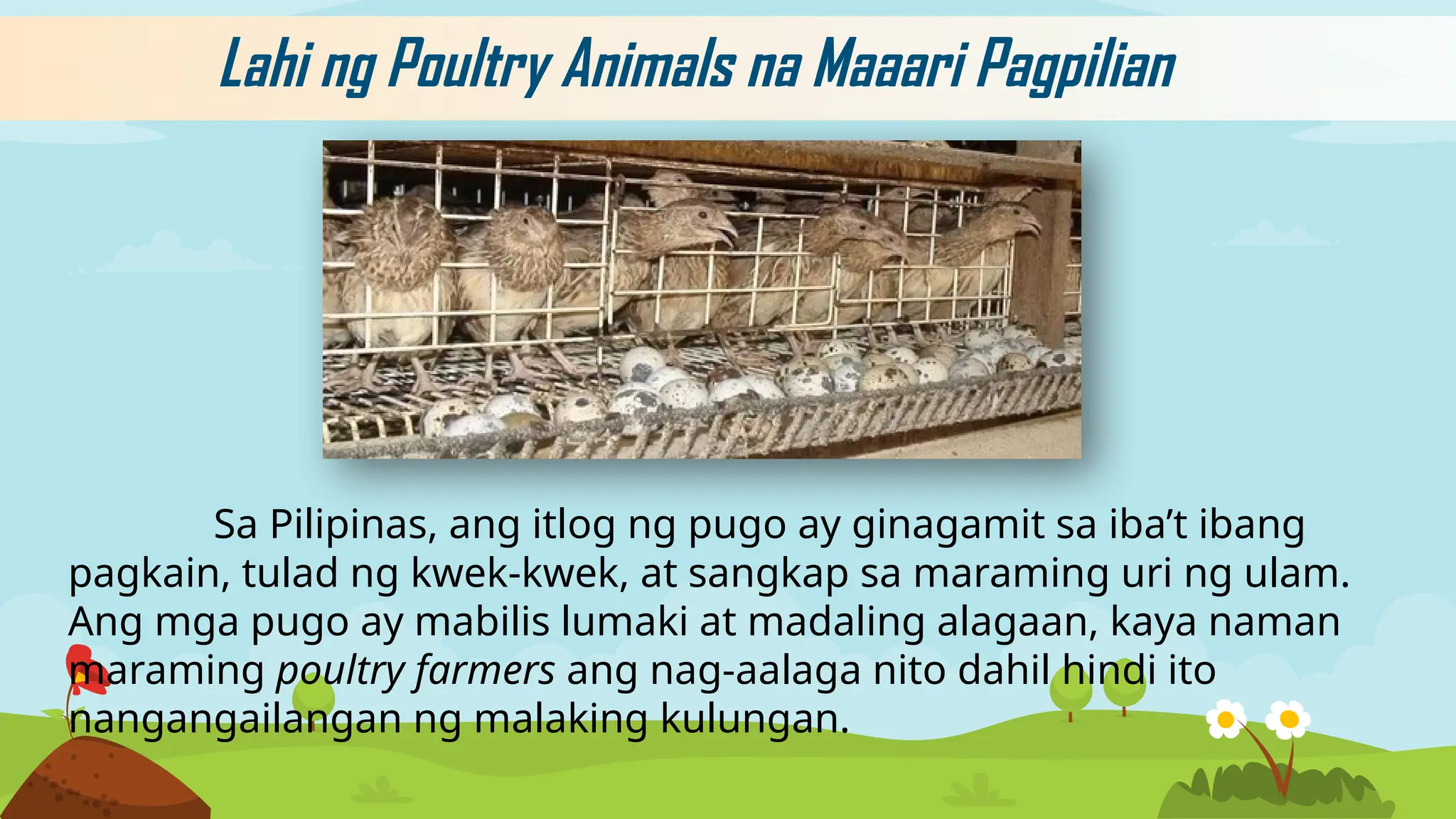 EPP-WEEK-4-DAY-4-Uri-ng-Manok-at-Pugo.pptx