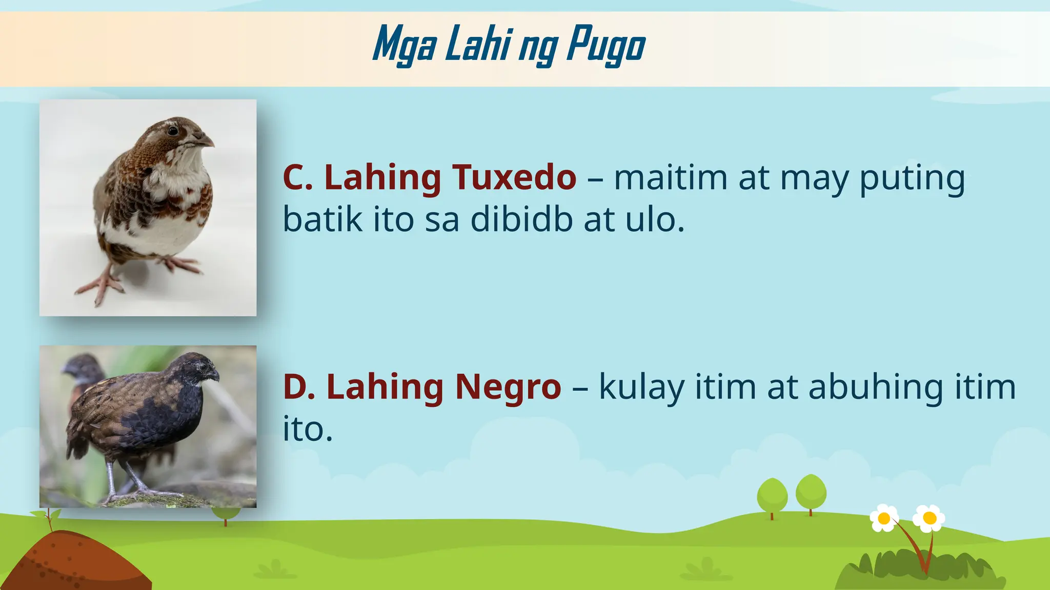 EPP-WEEK-4-DAY-4-Uri-ng-Manok-at-Pugo.pptx