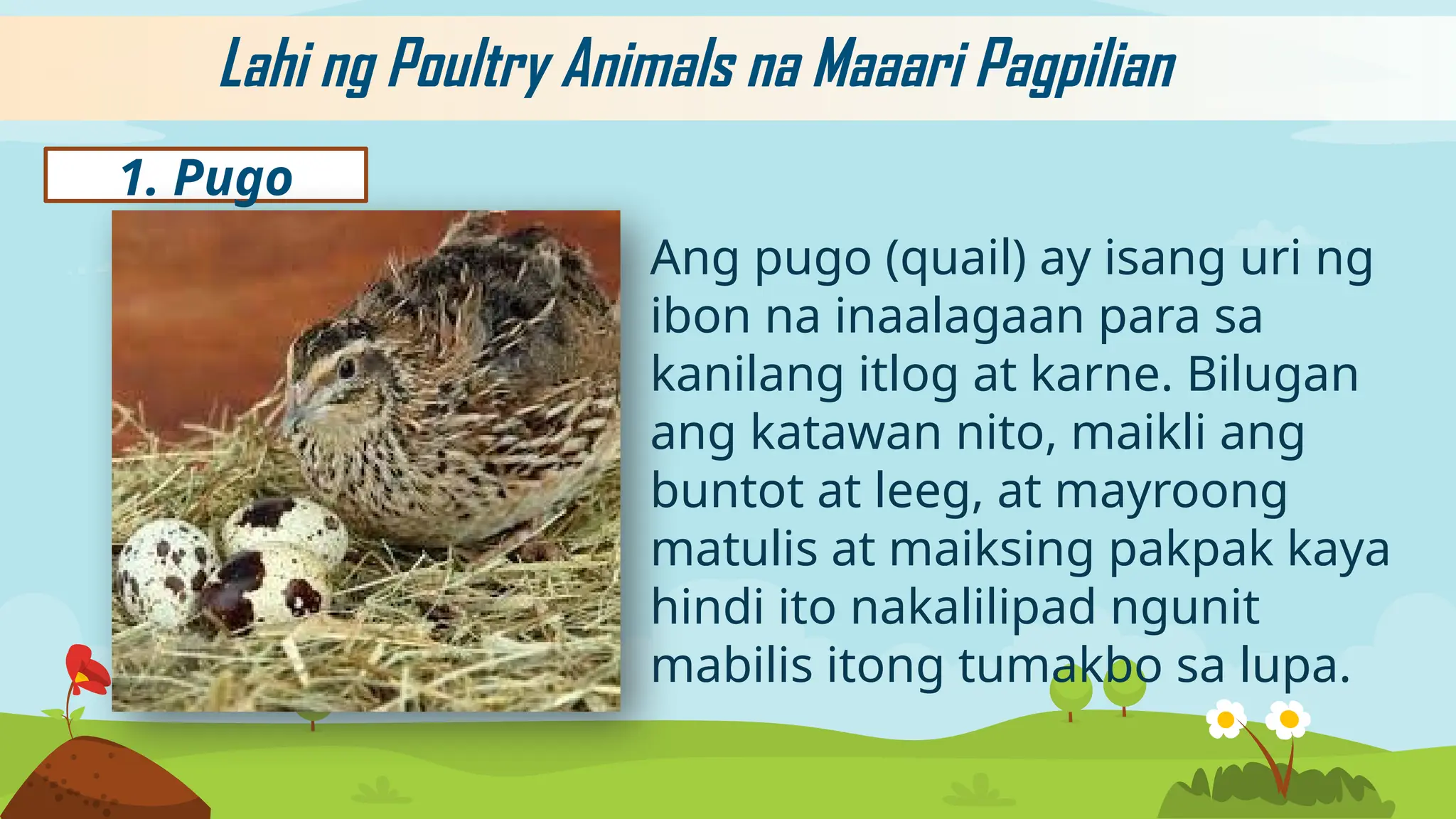 EPP-WEEK-4-DAY-4-Uri-ng-Manok-at-Pugo.pptx