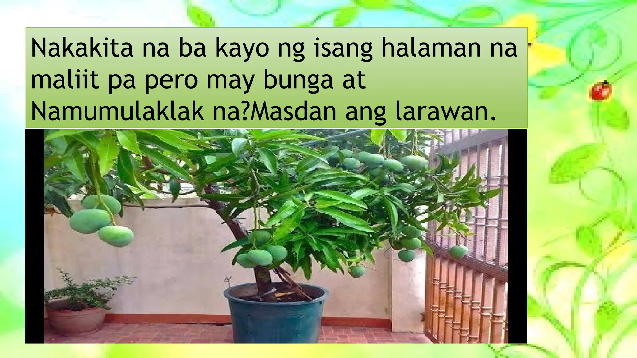 EPP 4 - AGRI. - Aralin 11 - Pagpaparami ng Halamang Ornamental(marcotting)ppt.pptx
