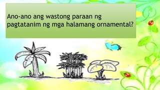 EPP 4 - AGRI. - Aralin 11 - Pagpaparami ng Halamang Ornamental(marcotting)ppt.pptx