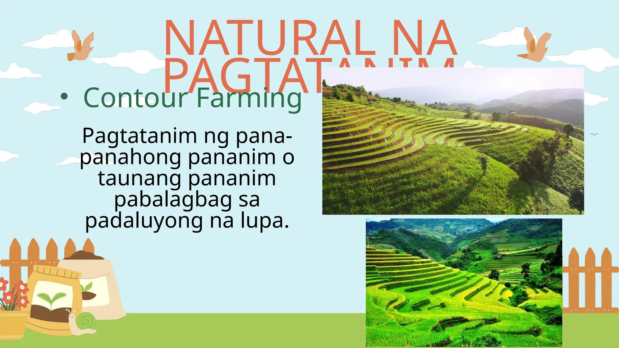 EPP 4-AGRICULTURE Q2 PPT WEEK ...