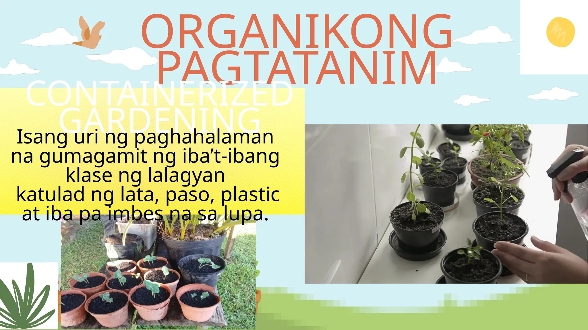 EPP 4-AGRICULTURE Q2 PPT WEEK ...