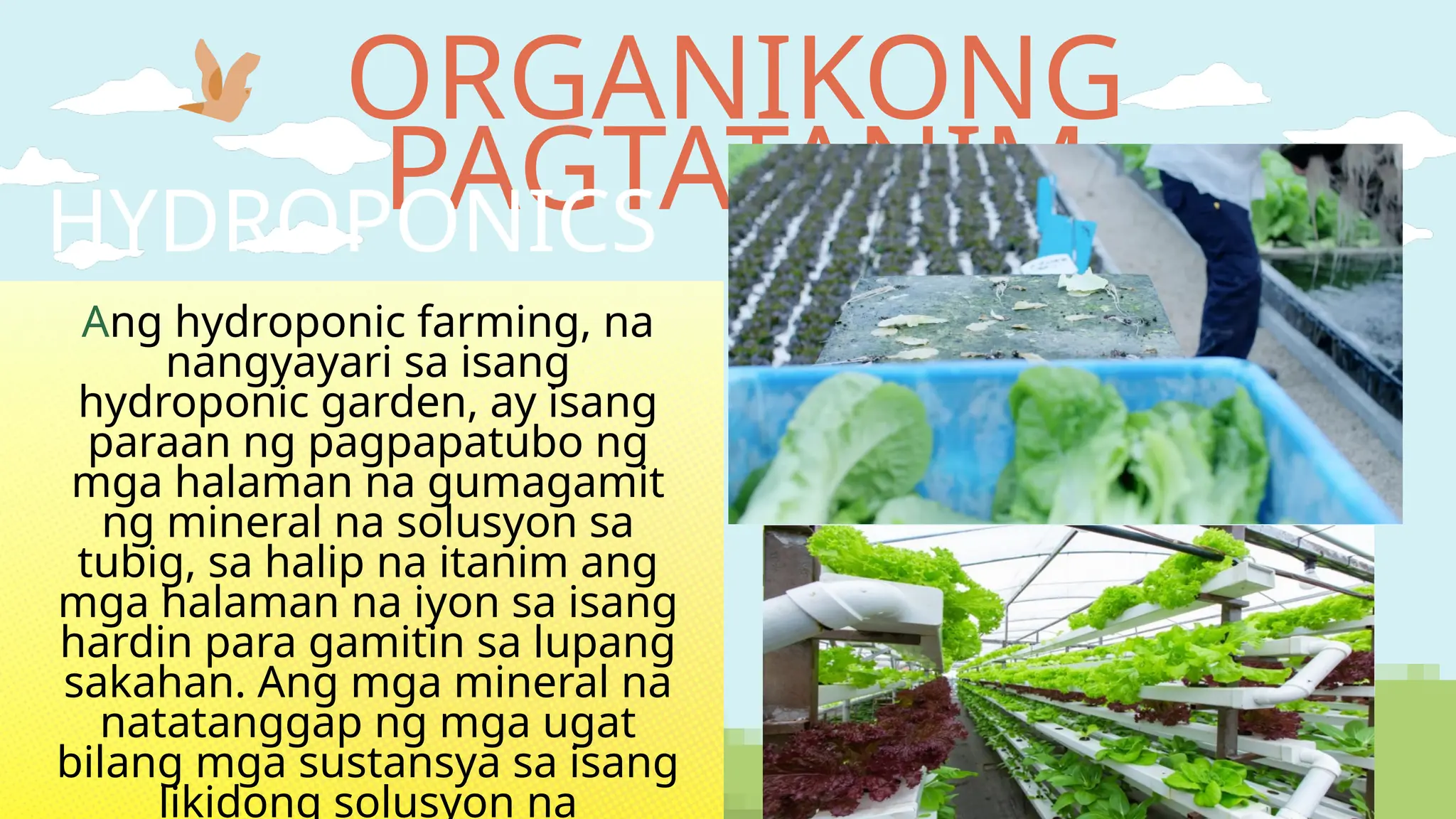 EPP 4-AGRICULTURE Q2 PPT WEEK ...