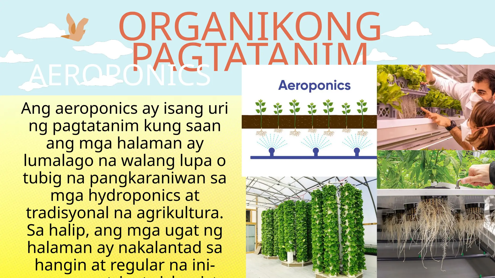 EPP 4-AGRICULTURE Q2 PPT WEEK