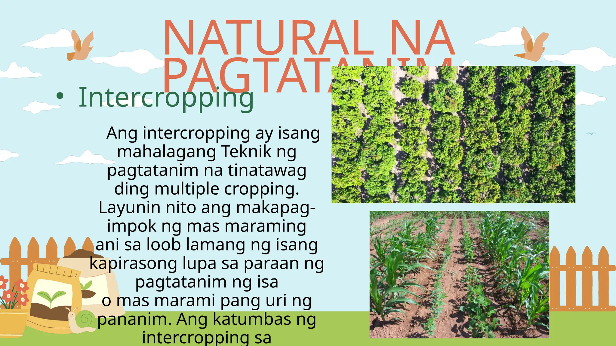 EPP 4-AGRICULTURE Q2 PPT WEEK