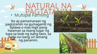 EPP 4-AGRICULTURE Q2 PPT WEEK ...